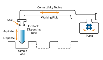 Precision Fluid Handling: Optimizing Lab Automation Mechanics